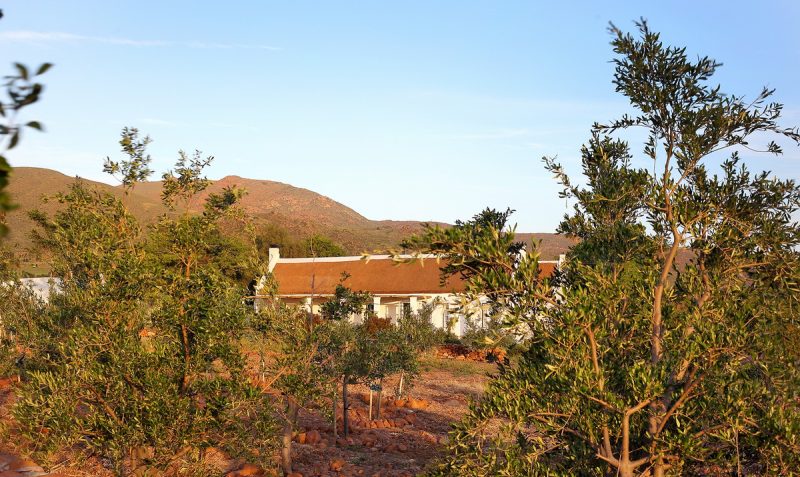 Eikehof, Worcester - Amazing Spaces Locations