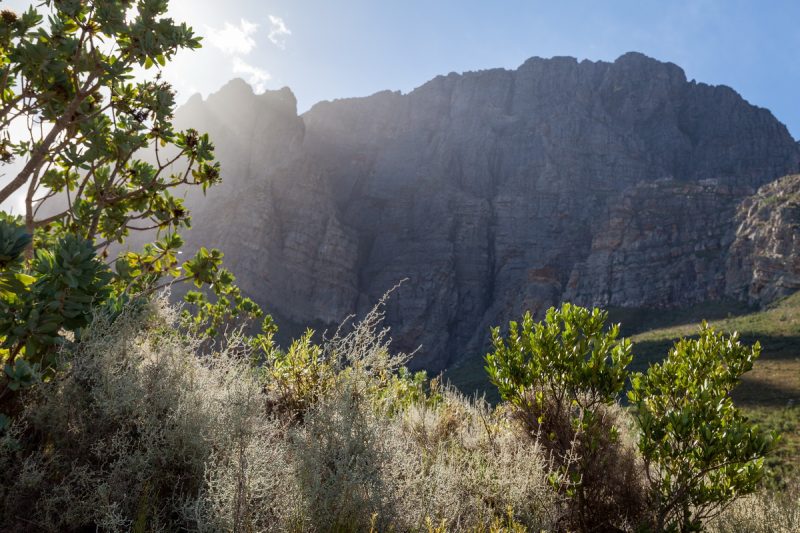 Du Kloof Lodge, Paarl - Amazing Spaces Locations